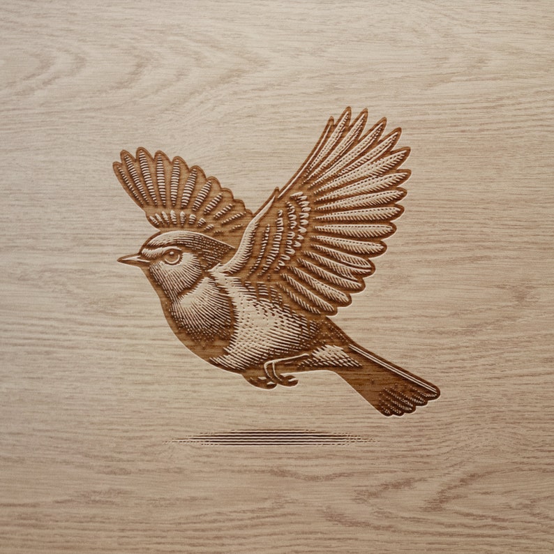 Robin Bird, Lightburn PNG, Lightburn File, Laser Engraving Digital ...