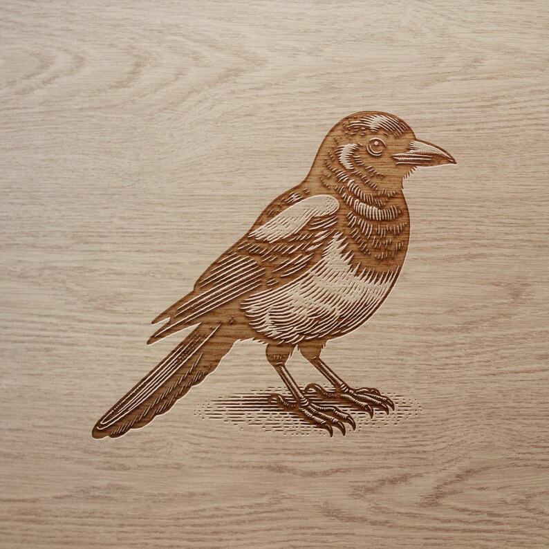 Magpie Bird, Lightburn PNG, Lightburn File, Laser Engraving Digital ...