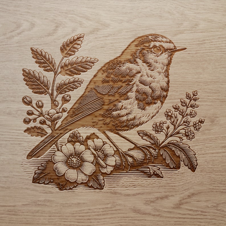 Robin Bird, Lightburn PNG, Lightburn File, Laser Engraving Digital ...
