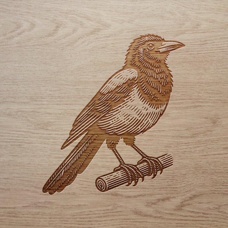 Magpie Bird, Lightburn PNG, Lightburn File, Laser Engraving Digital ...