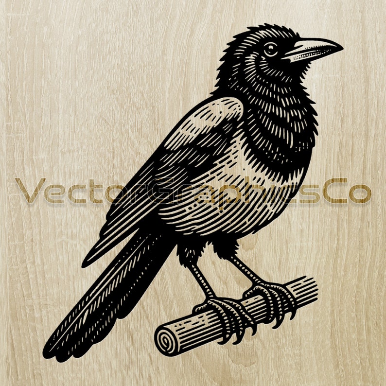 Magpie Bird, Lightburn PNG, Lightburn File, Laser Engraving Digital ...