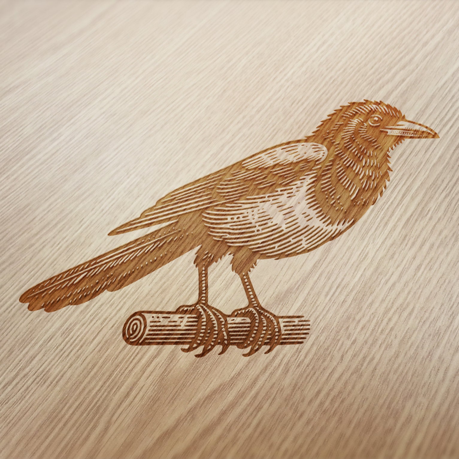 Magpie Bird, Lightburn PNG, Lightburn File, Laser Engraving Digital ...