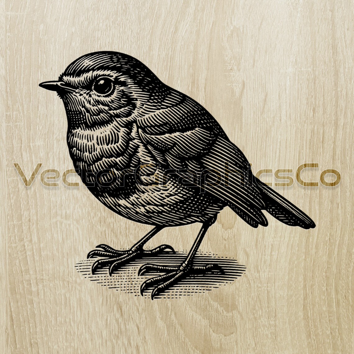 Robin Bird, Lightburn PNG, Lightburn File, Laser Engraving Digital ...