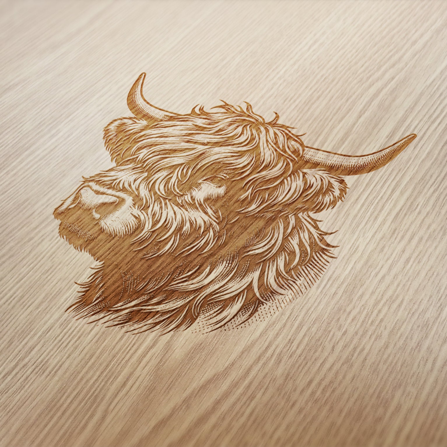 Highland Cow, Lightburn PNG, Lightburn File, Laser Engraving Digital ...