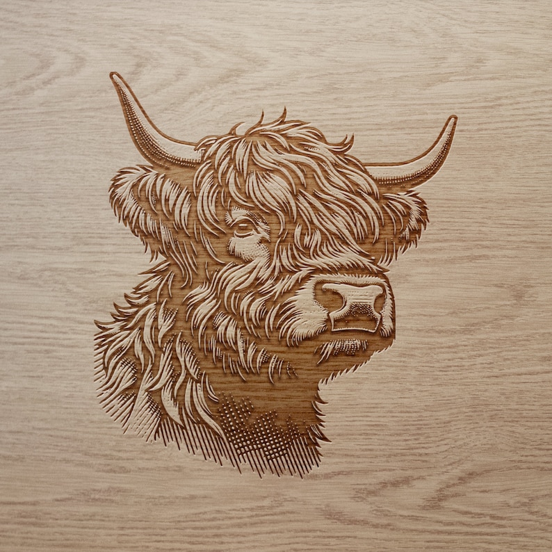 Highland Cow, Lightburn PNG, Lightburn File, Laser Engraving Digital ...