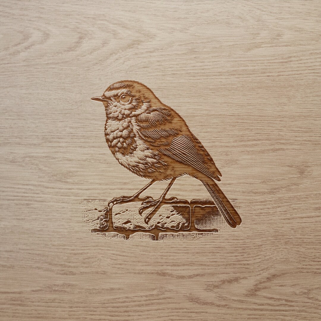 Robin Bird, Lightburn PNG, Lightburn File, Laser Engraving Digital ...
