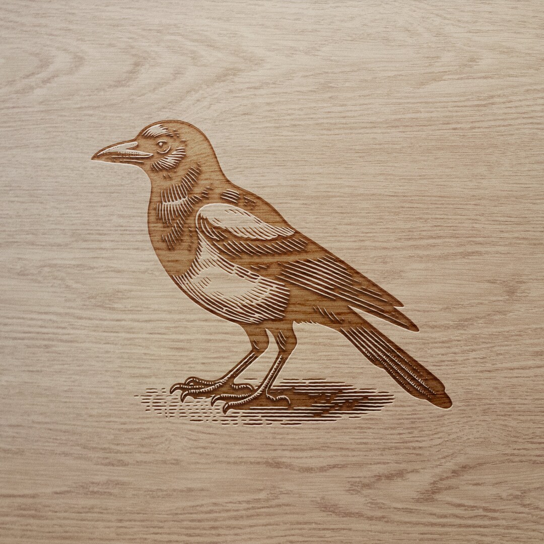 Magpie Bird, Lightburn PNG, Lightburn File, Laser Engraving Digital ...