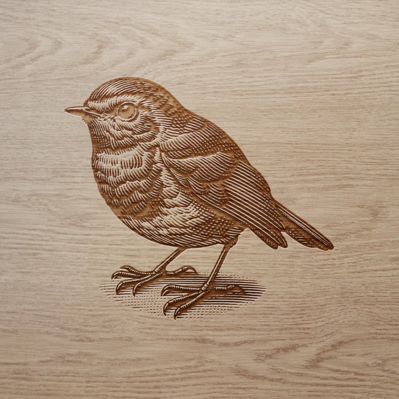 Robin Bird, Lightburn PNG, Lightburn File, Laser Engraving Digital ...