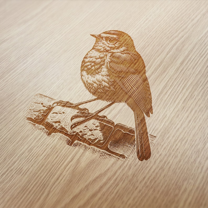 Robin Bird, Lightburn PNG, Lightburn File, Laser Engraving Digital ...