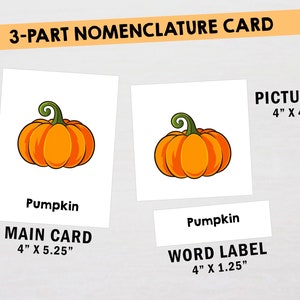 ALPHABET Fruits and Vegetables Flashcards • Flashcards for Kids • 26 ...