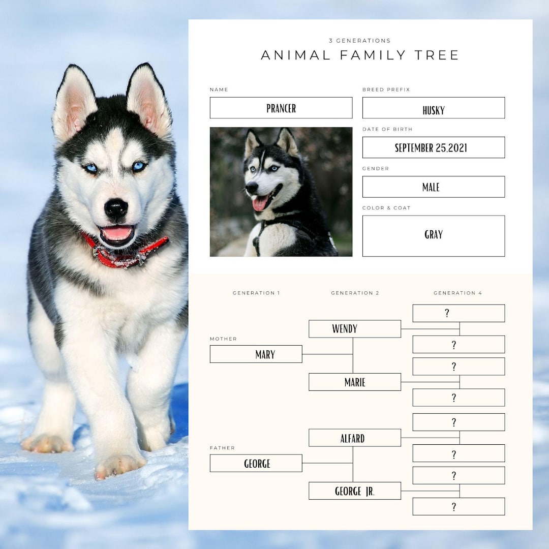 Animal Family Tree Custom Family Tree History Personslize Animal Print ...