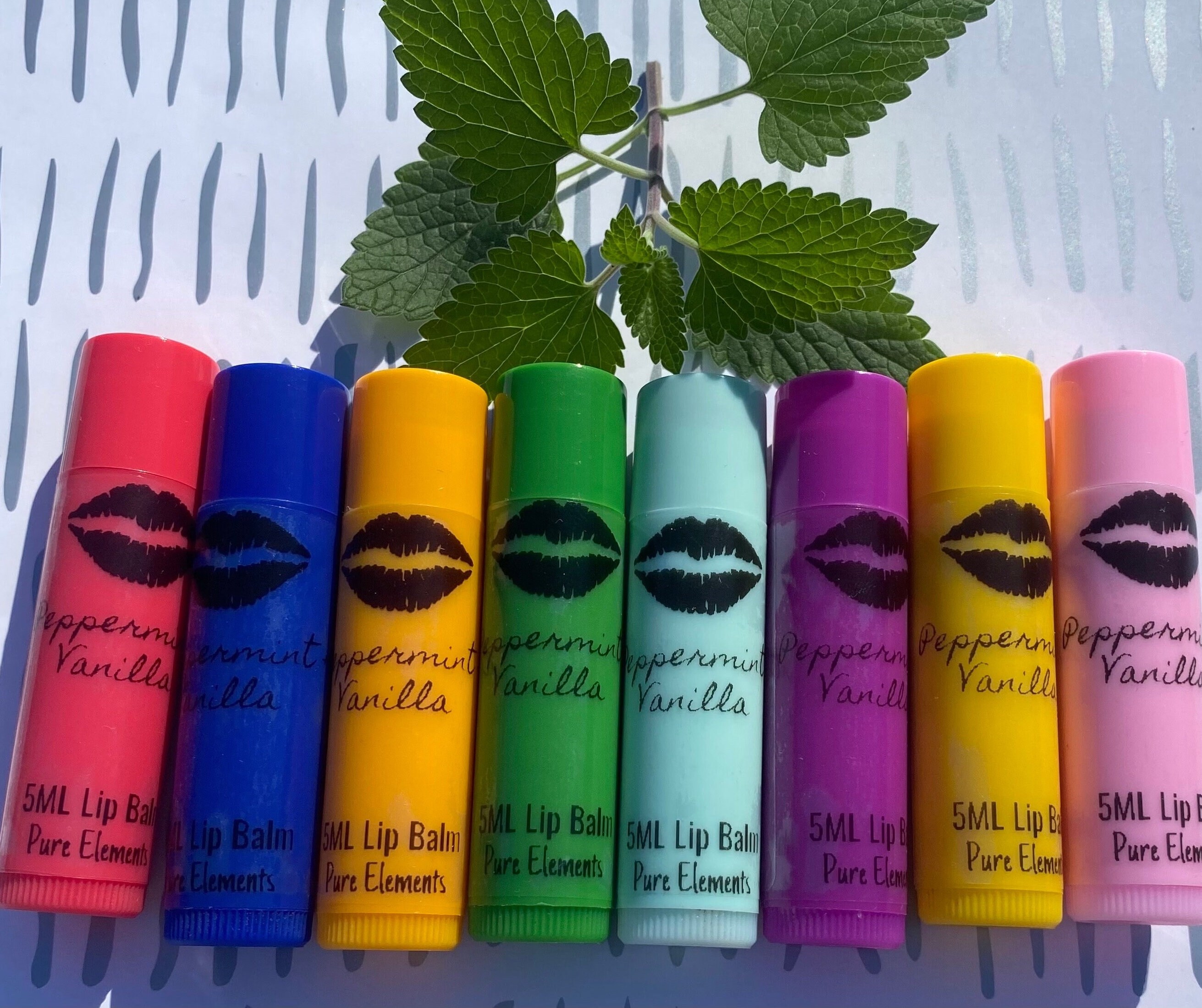 Chap Stick Lip Balm Lip Stick Chap Stick Holder Salve And Balm All Natural Lip Care Etsy