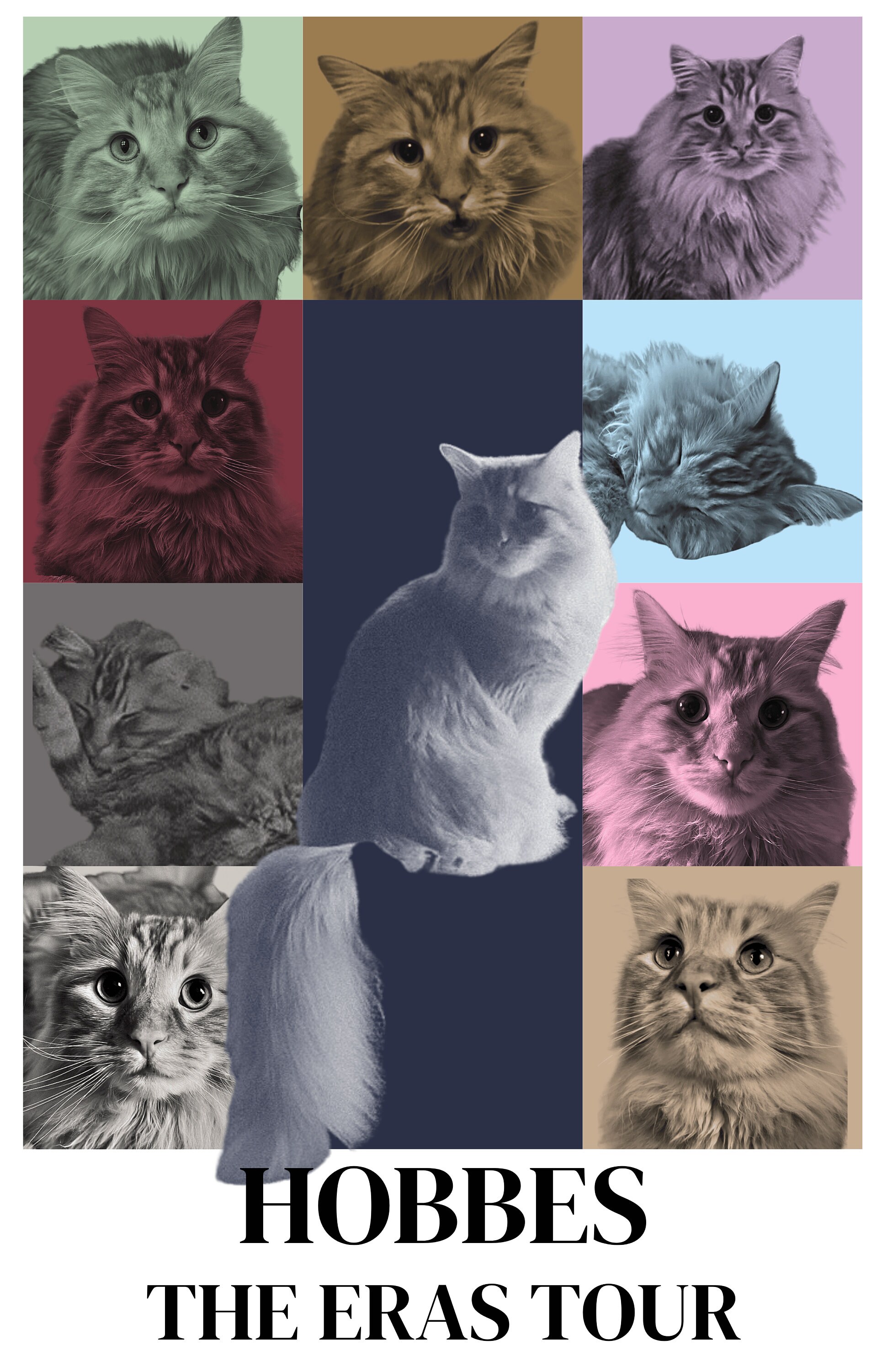 The Eras Tour Customizable Poster - Etsy