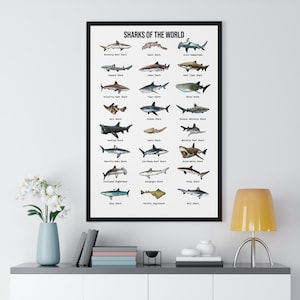 Sharks of the World Wall Art, Nautical Home Decor, Ocean Animals Wall ...