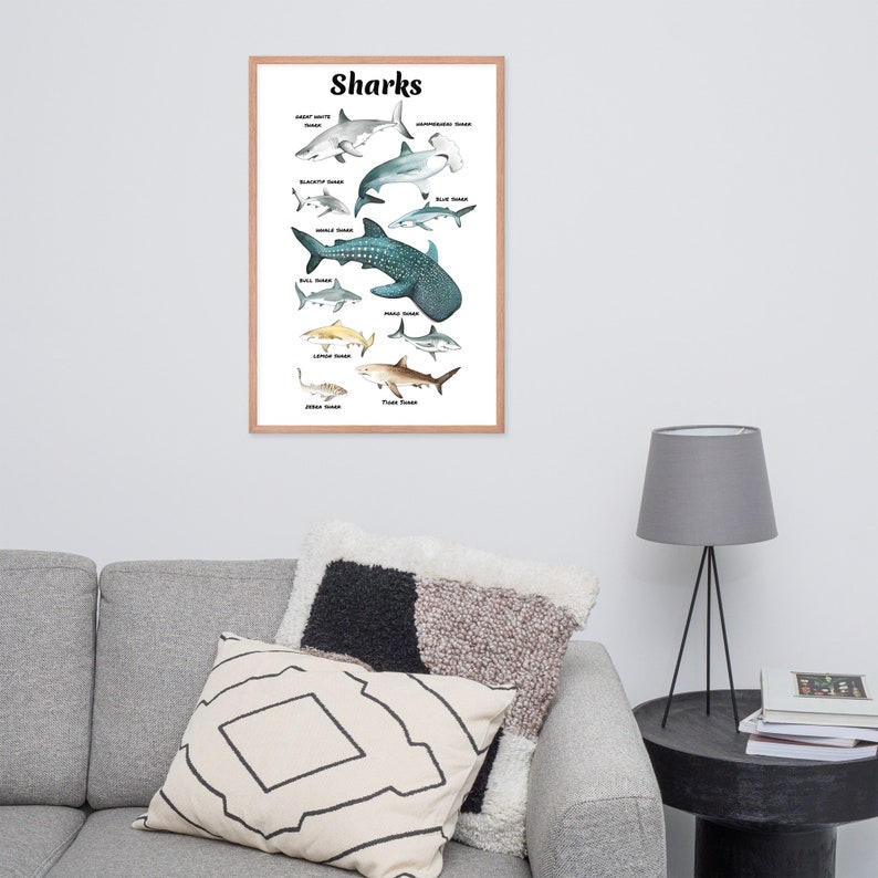 Sharks of the World Wall Art, Nautical Home Decor, Ocean Animals Wall ...
