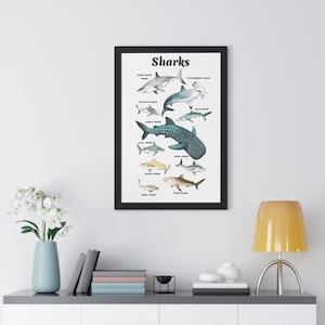 Sharks of the World Wall Art, Nautical Home Decor, Ocean Animals Wall ...