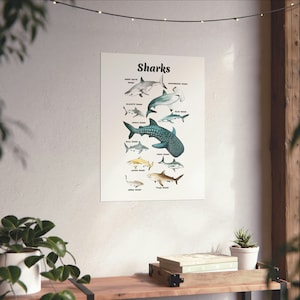Sharks of the World Wall Art, Nautical Home Decor, Ocean Animals Wall ...
