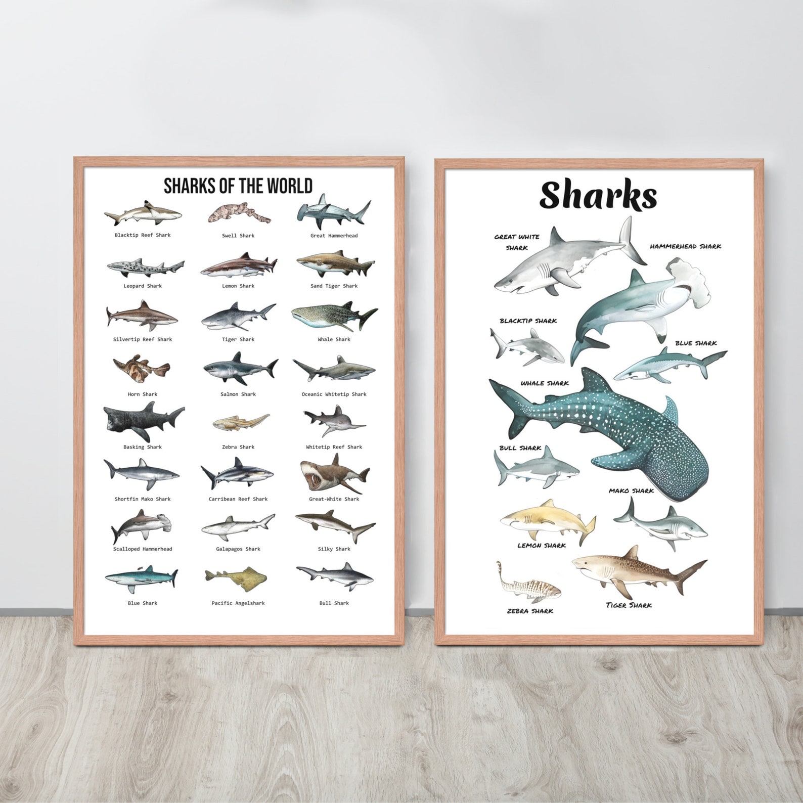 Sharks of the World Wall Art, Nautical Home Decor, Ocean Animals Wall ...