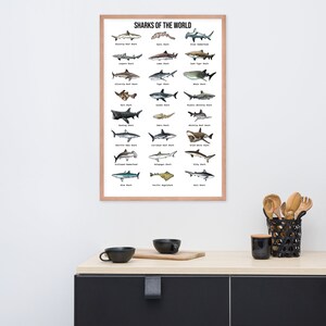 Sharks of the World Wall Art, Nautical Home Decor, Ocean Animals Wall ...