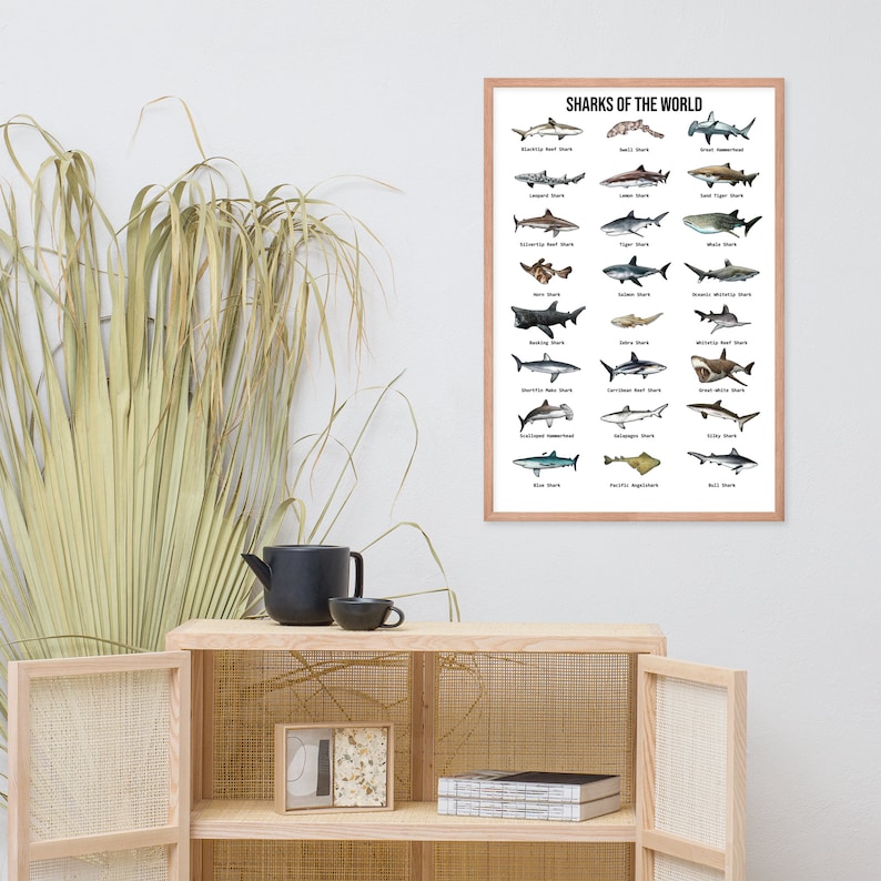 Sharks of the World Wall Art, Nautical Home Decor, Ocean Animals Wall ...