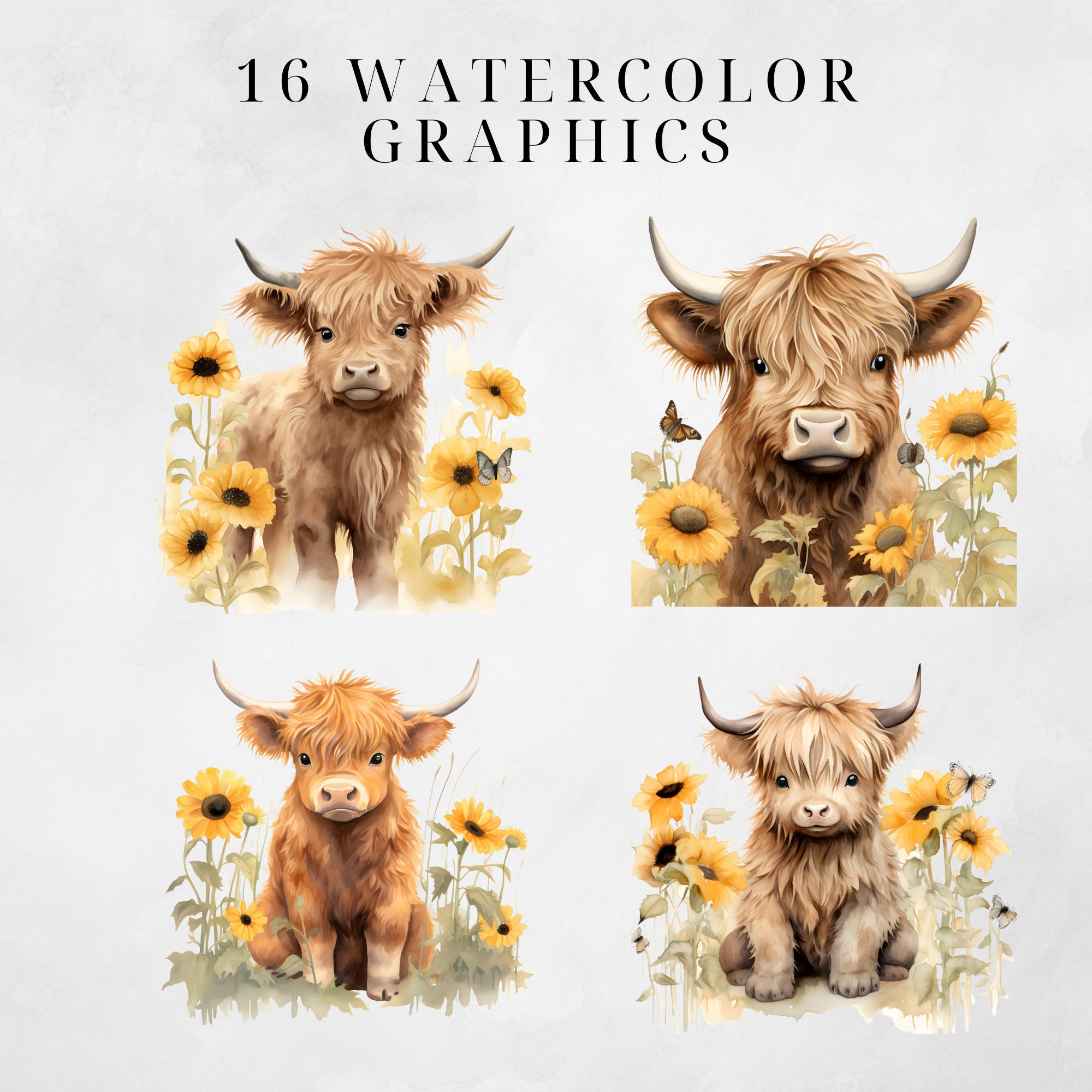 Watercolor Sunflower Highland Cow Clipart, Clipart for Commercial Use ...