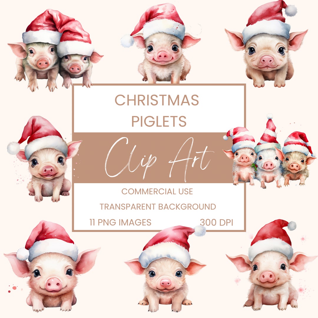 Christmas Piglets Clip Art Pack Watercolour, Clipart or Commercial Use ...