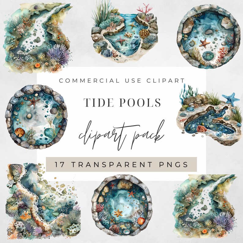 Watercolor Tide Pools Clipart, BUNDLE, Ocean, Coral, Rock Pool ...