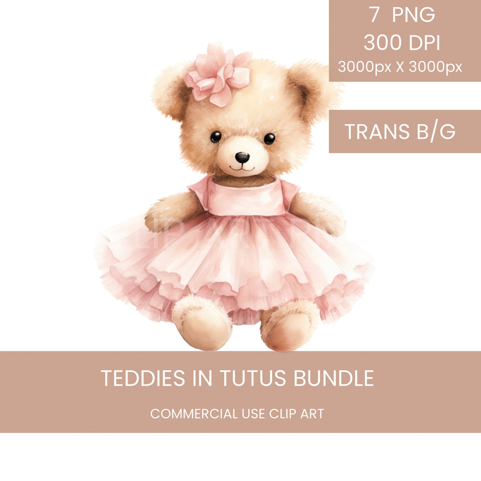 Watercolour Teddy Bears in Tutus Clip Art Pack Watercolour, Clipart for ...
