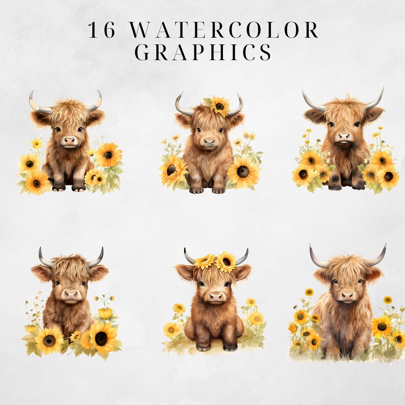 Watercolor Sunflower Highland Cow Clipart, Clipart for Commercial Use ...