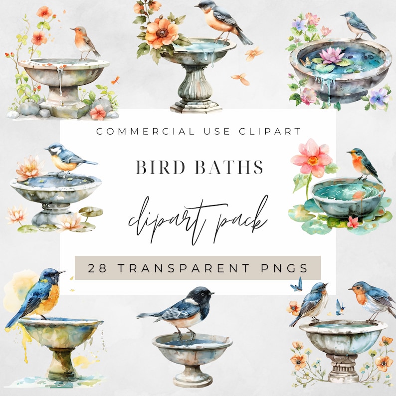 Watercolor Bird Bath Clipart, BUNDLE, Flowers, Birds, Garden, Neutral ...