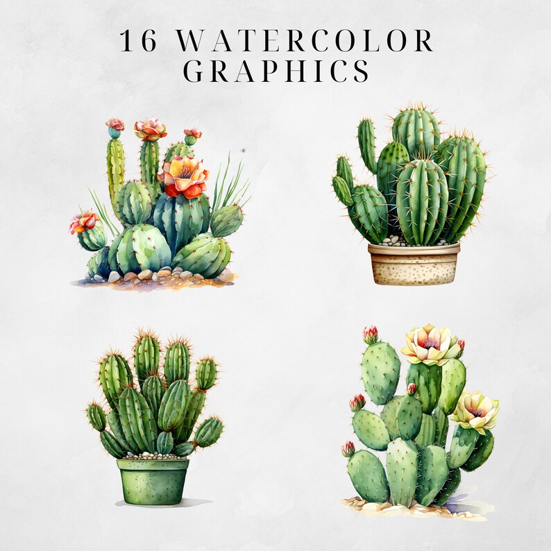 Watercolor Cactus Clipart, Clipart for Commercial Use, Transparent Pngs ...