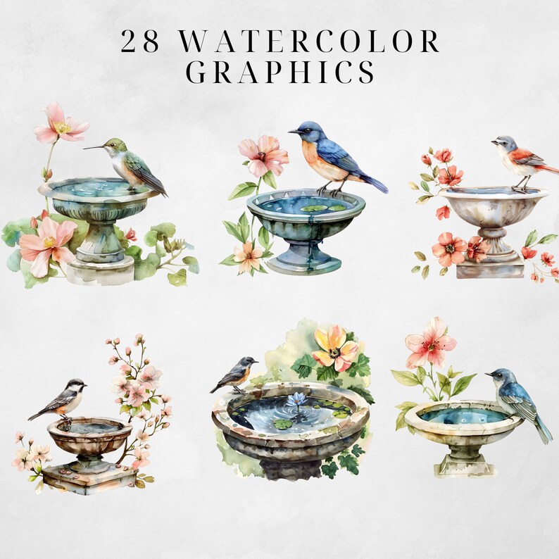 Watercolor Bird Bath Clipart, BUNDLE, Flowers, Birds, Garden, Neutral ...