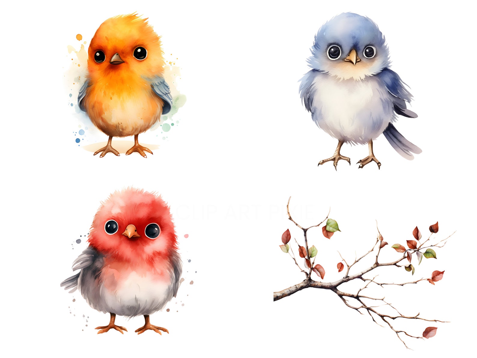 Birds Clip Art Pack Watercolour, Clipart or Commercial Use, Bird, Bird ...