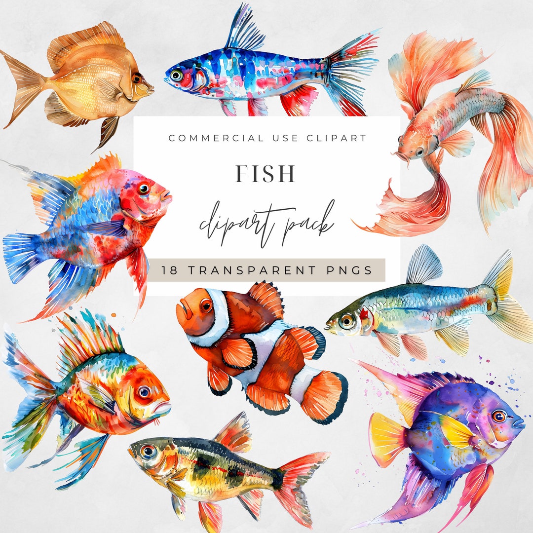 Watercolor Fish Clipart, Clipart for Commercial Use, Transparent Pngs ...
