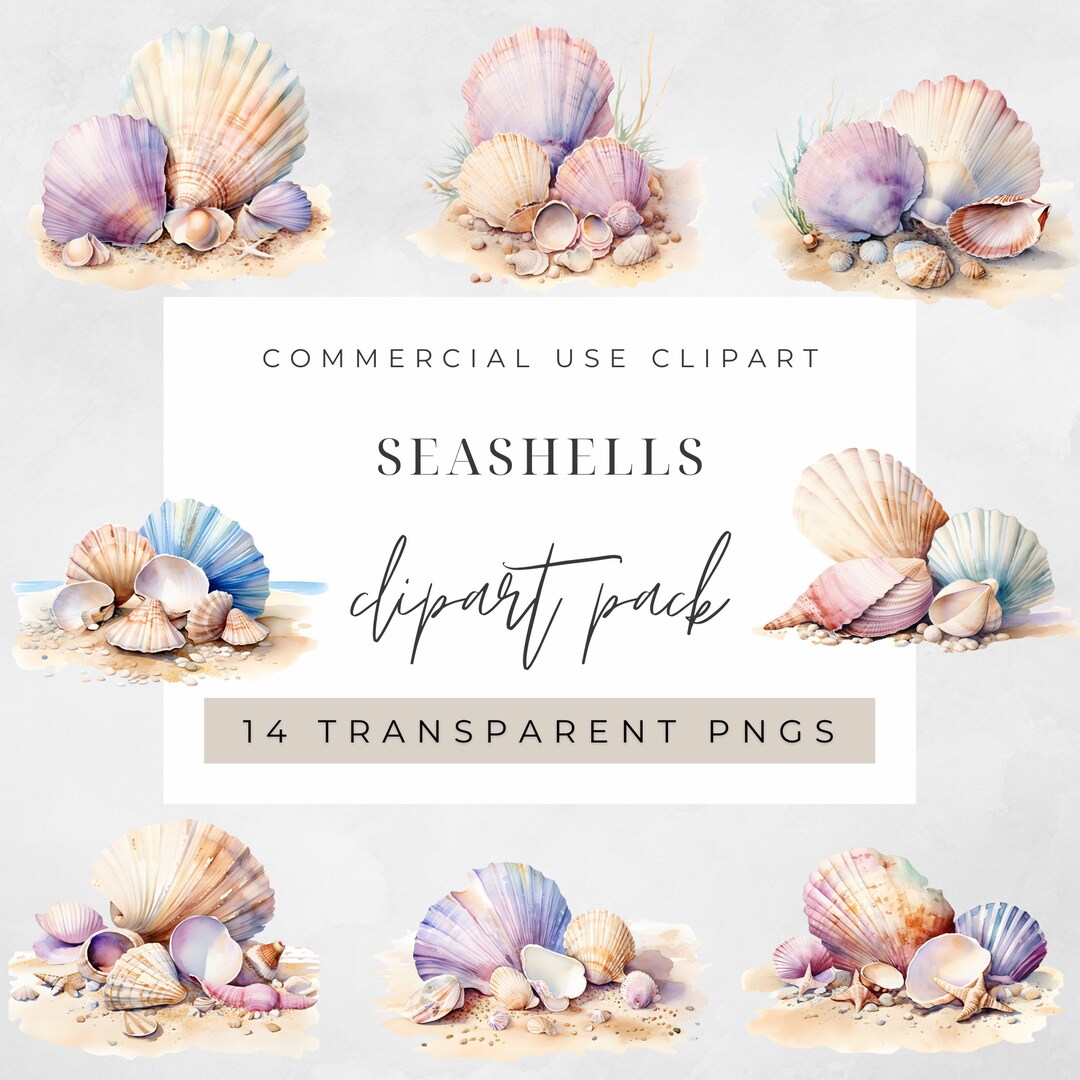 Watercolor Pastel Seashells Clipart, Clipart for Commercial Use ...