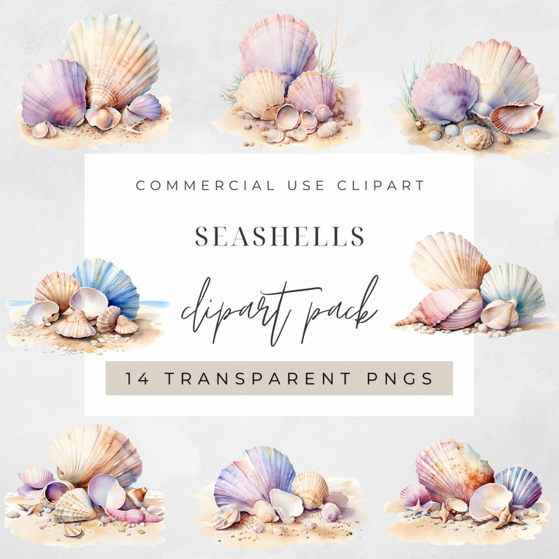 Watercolor Pastel Seashells Clipart, Clipart for Commercial Use ...