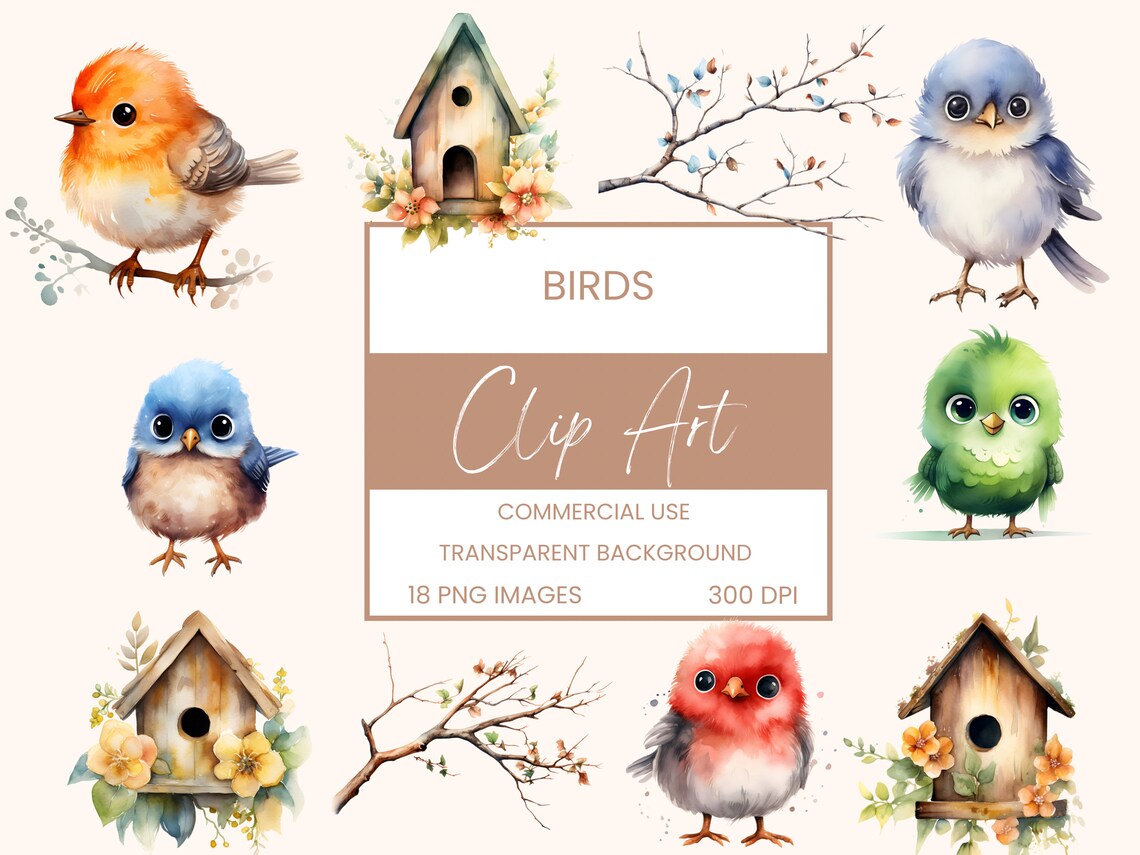 Birds Clip Art Pack Watercolour, Clipart or Commercial Use, Bird, Bird ...