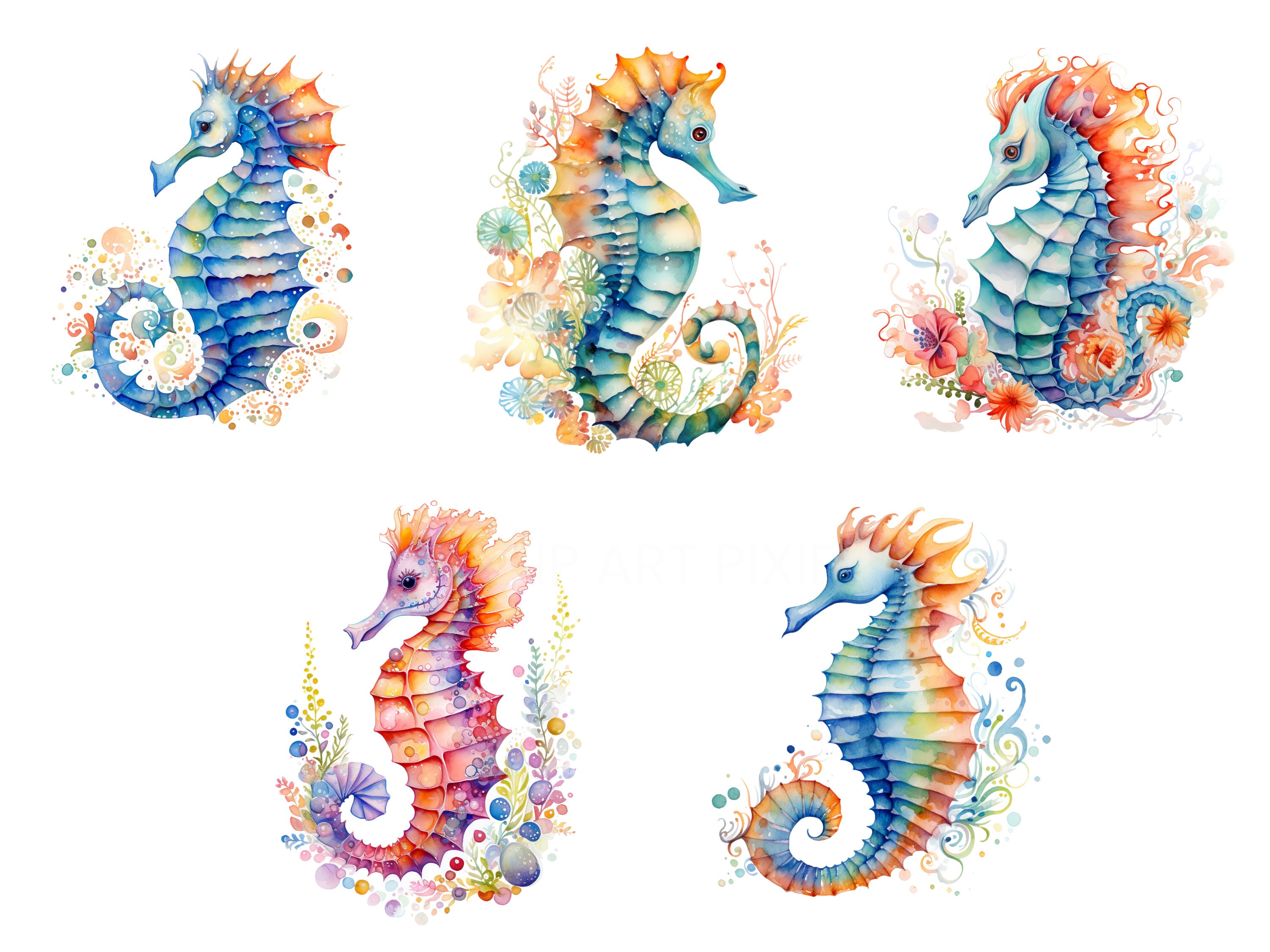 Whimsical Seahorses Clip Art Pack Watercolour, Clipart or Commercial ...