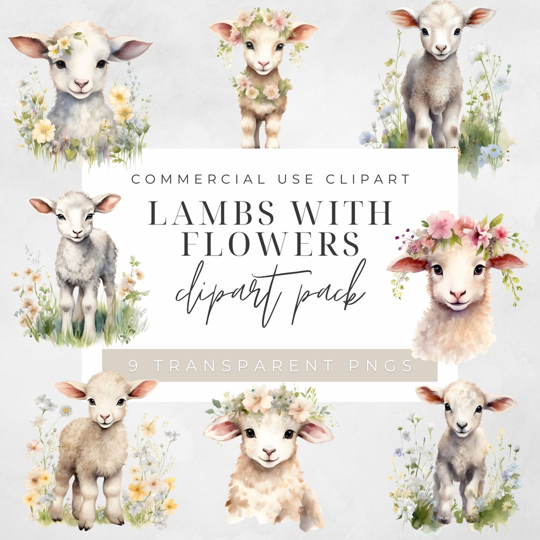 Lamb Clip Art Pack Watercolour, Clipart or Commercial Use, Flowers ...