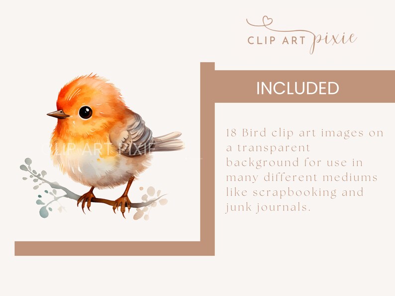 Birds Clip Art Pack Watercolour, Clipart or Commercial Use, Bird, Bird ...