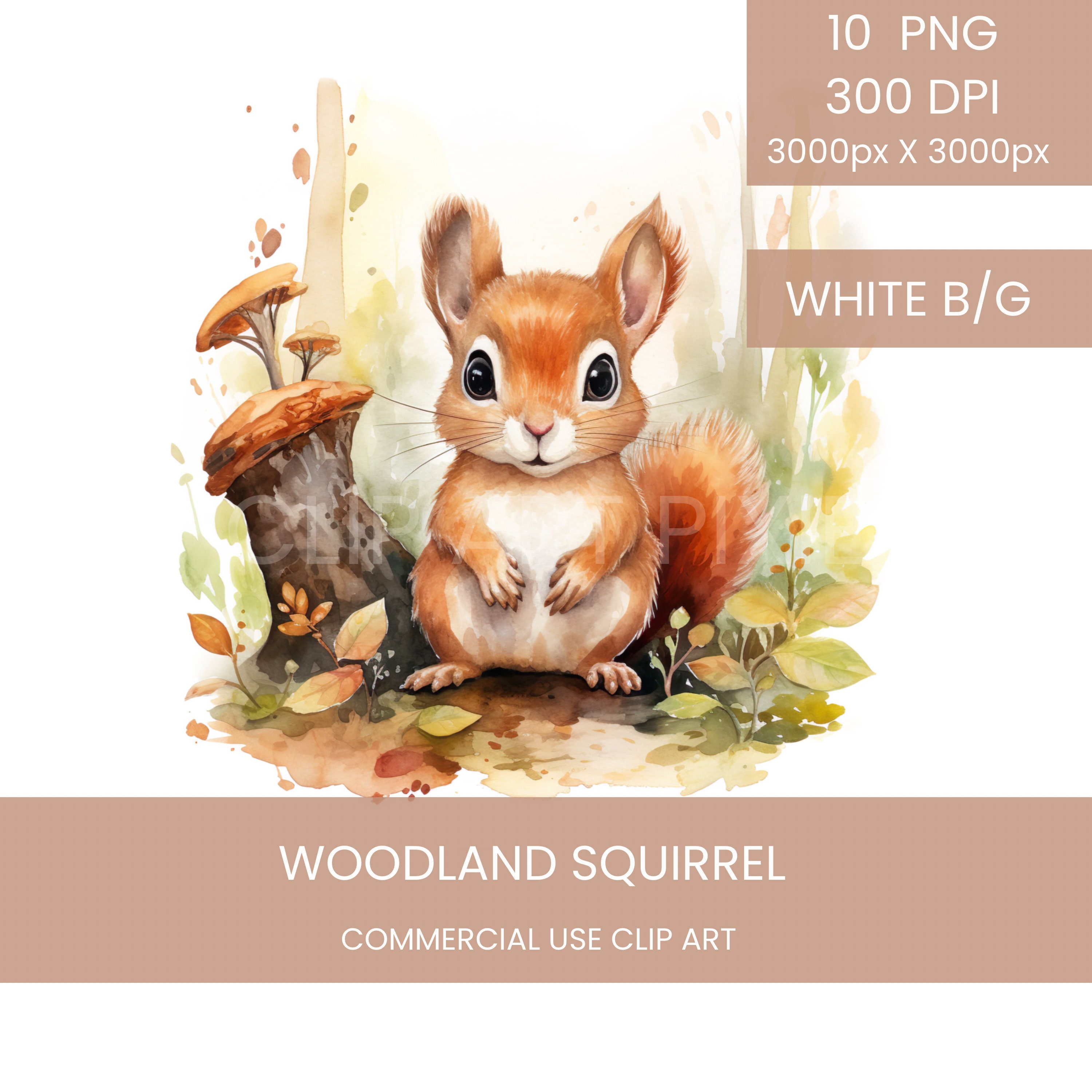 Woodland Squirrel Clipart PNG, Junk Journaling, Bundle, Woodland ...