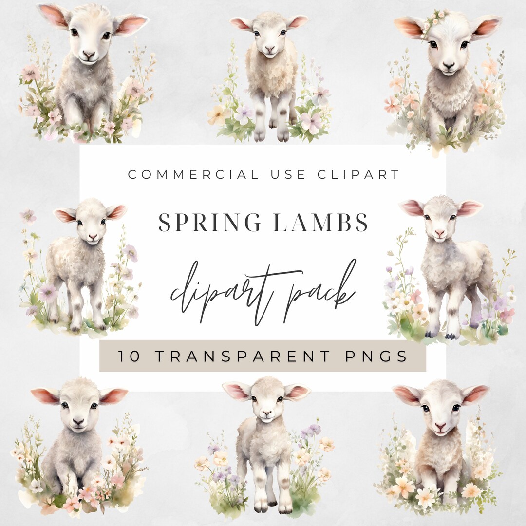 Watercolor Lamb Floral Clipart, Clipart for Commercial Use, Transparent ...