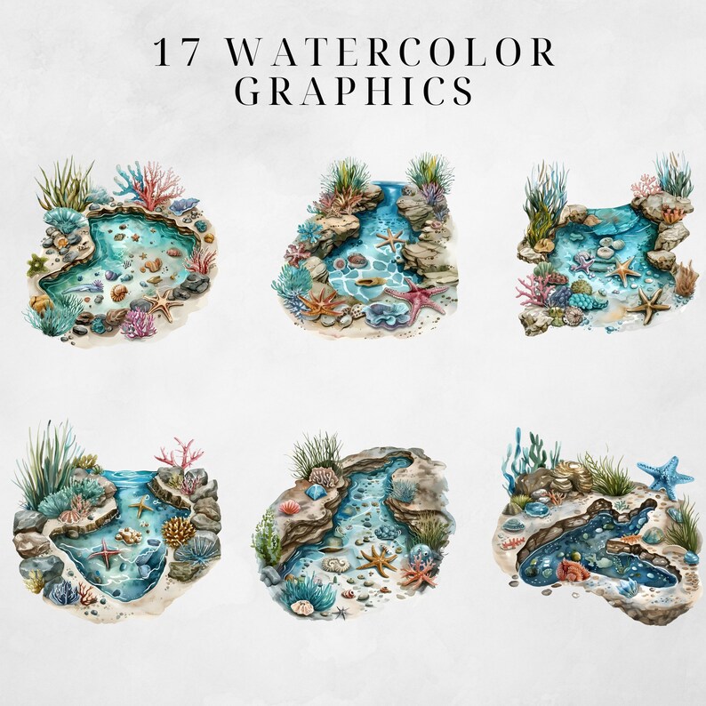 Watercolor Tide Pools Clipart, BUNDLE, Ocean, Coral, Rock Pool ...