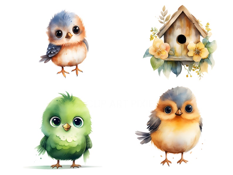 Birds Clip Art Pack Watercolour, Clipart or Commercial Use, Bird, Bird ...