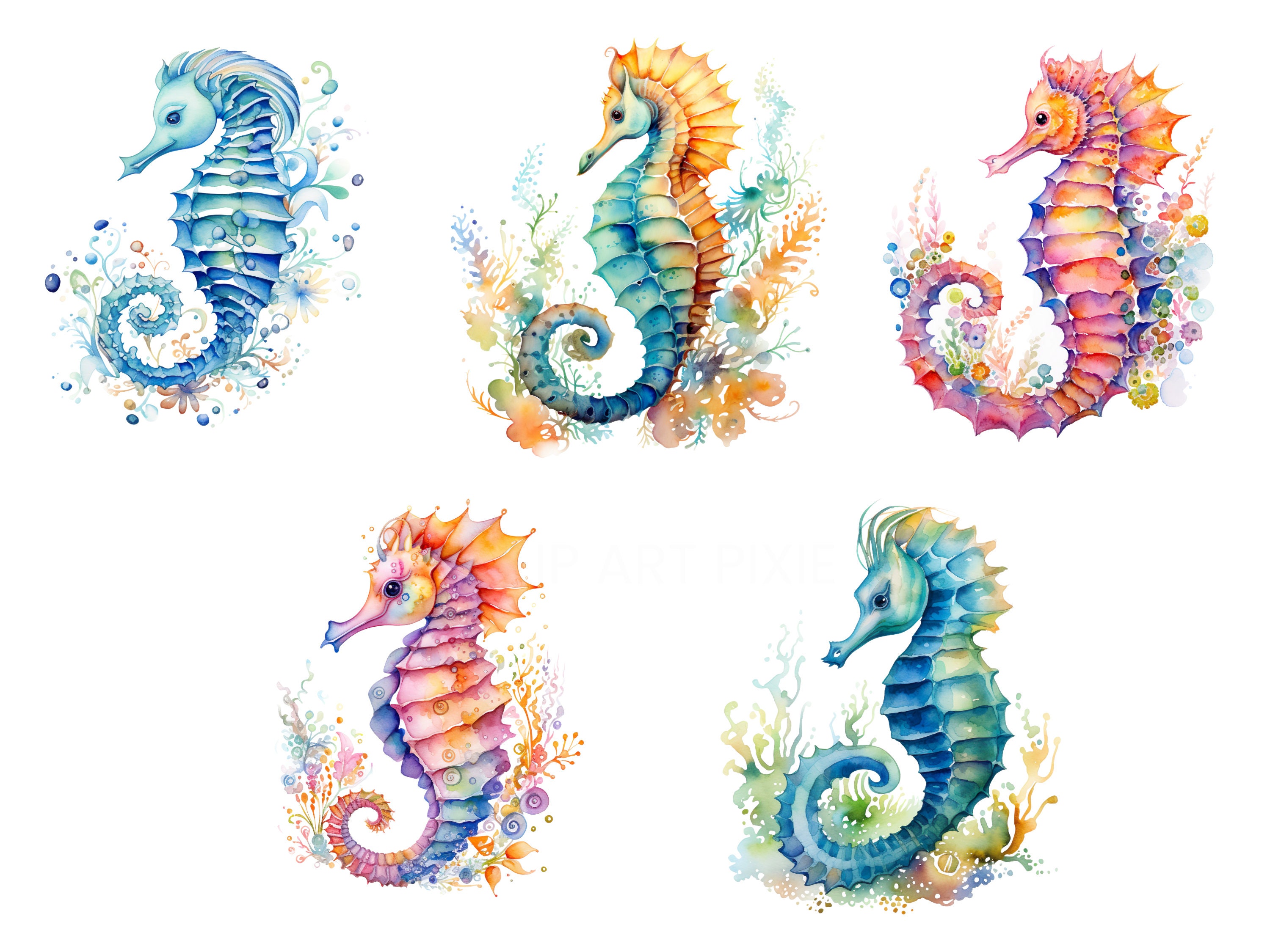 Whimsical Seahorses Clip Art Pack Watercolour, Clipart or Commercial ...