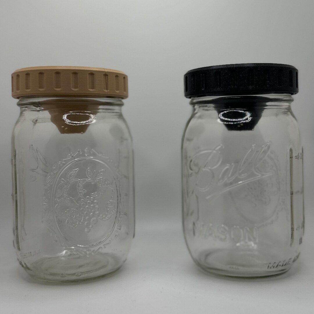 Fly Trap Lid for Mason Jars (2 Pack) - Etsy