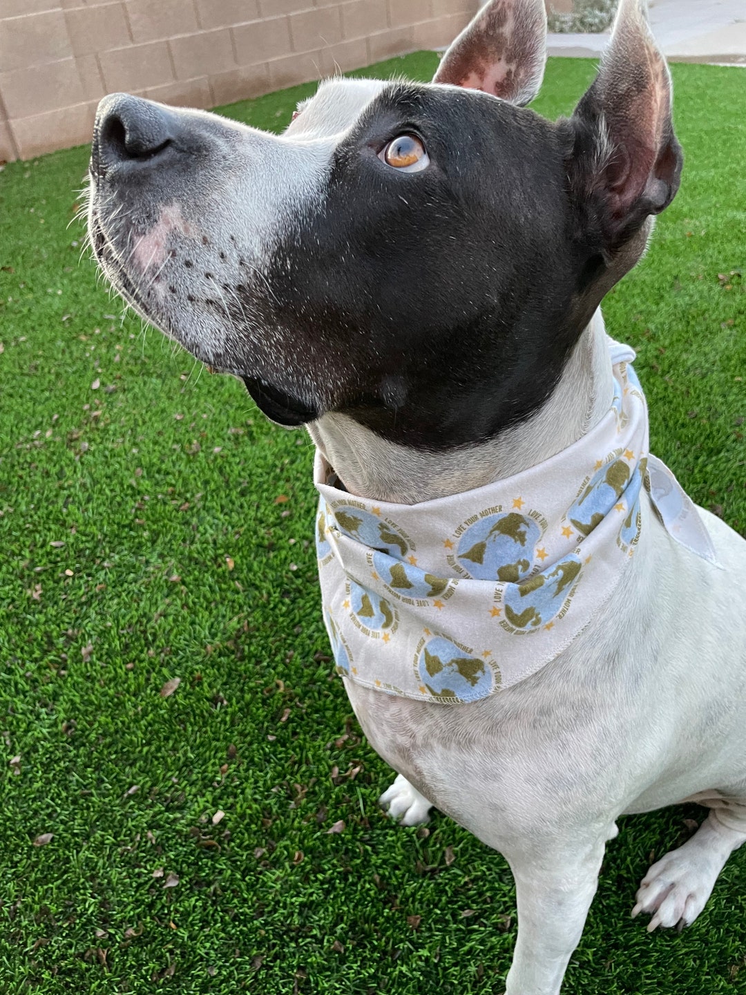 Earth Love Dog Bandana Recycle, Reuse, Upcycle, No Waste, Eco Friendly ...