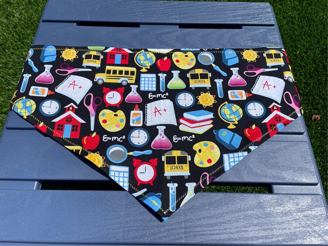 Back to School Dog Bandana Classroom, Back to School Kids, Math Class ...