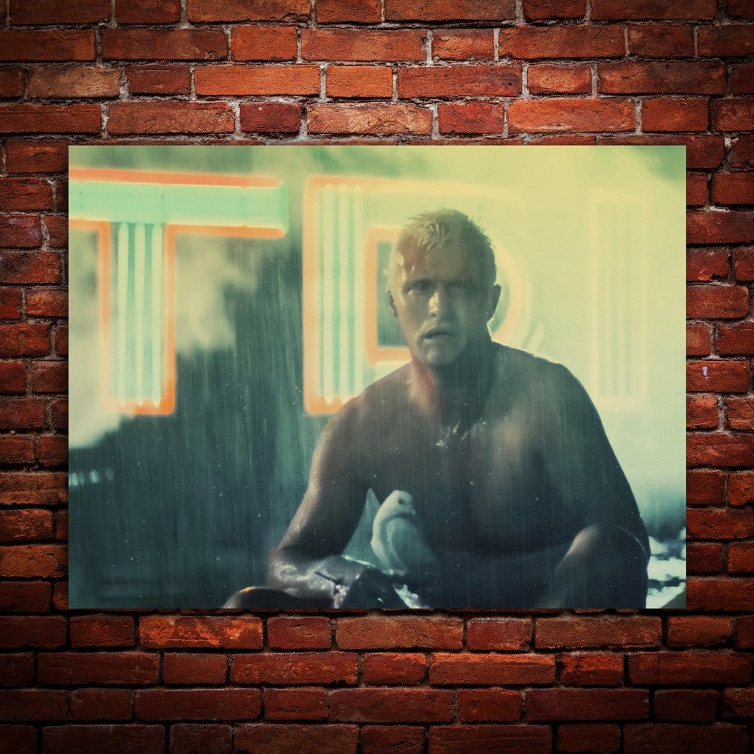 Blade Runner 1982 Roy Batty, Ridley Scott, Classic Sci-fi Horror Movie ...