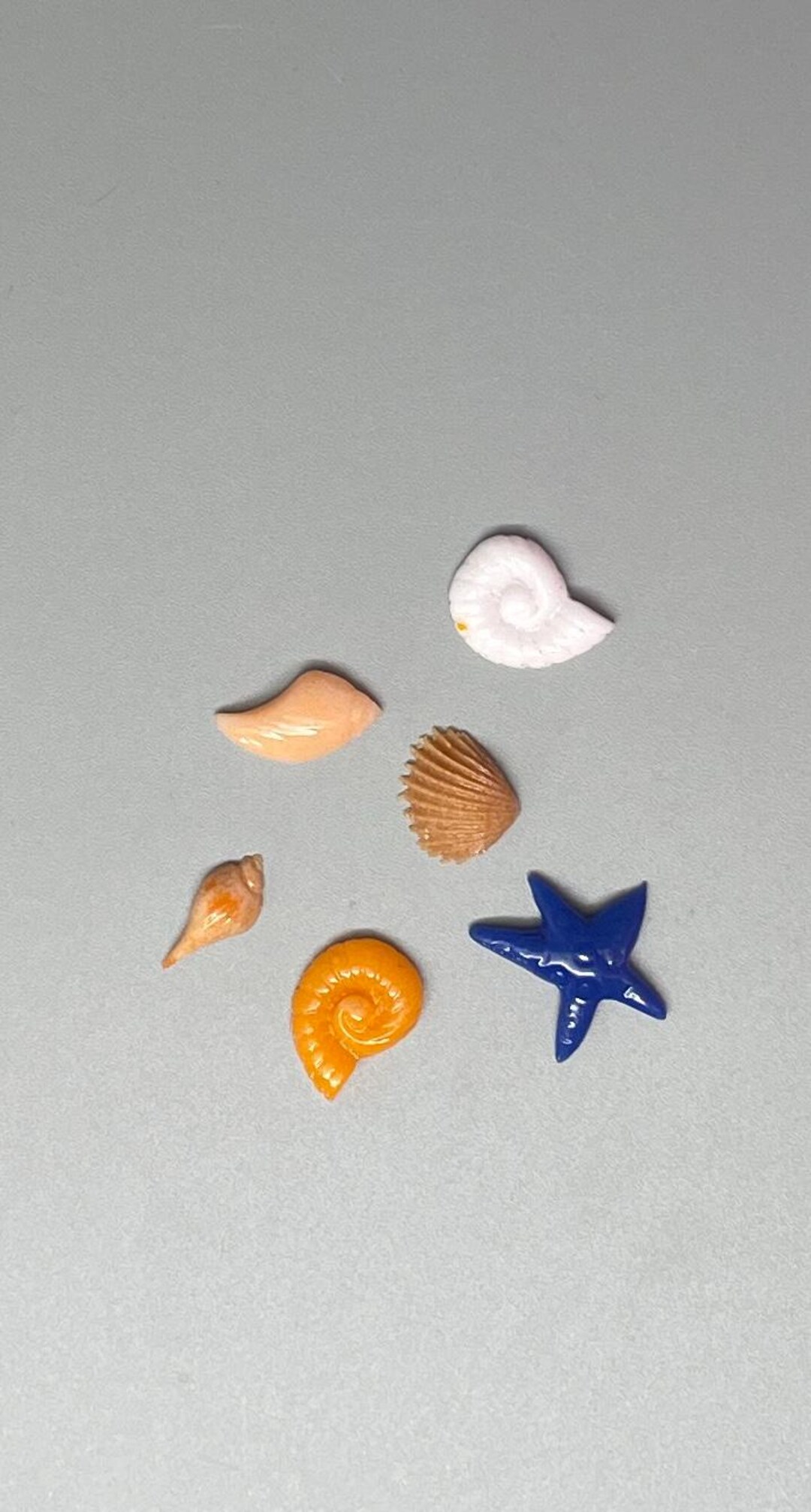 Fused Glass Shells and Starfish, Coe 90 - Etsy